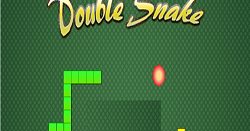 Double Snake Game