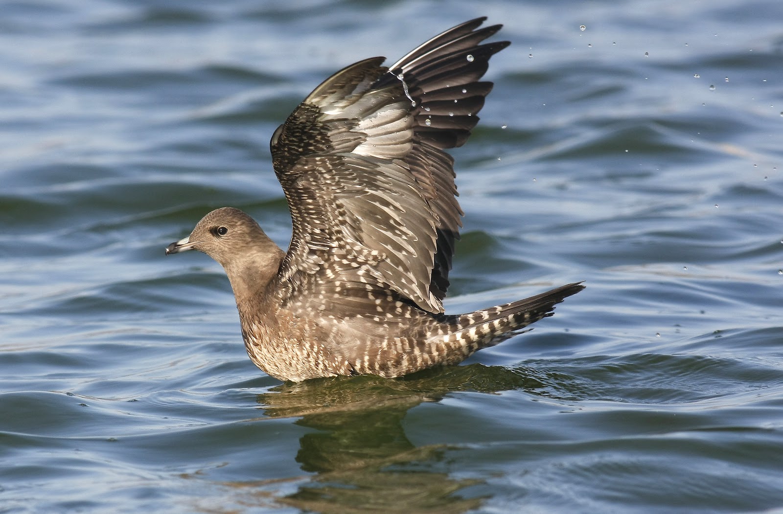 Navarra al natural: septiembre 2012