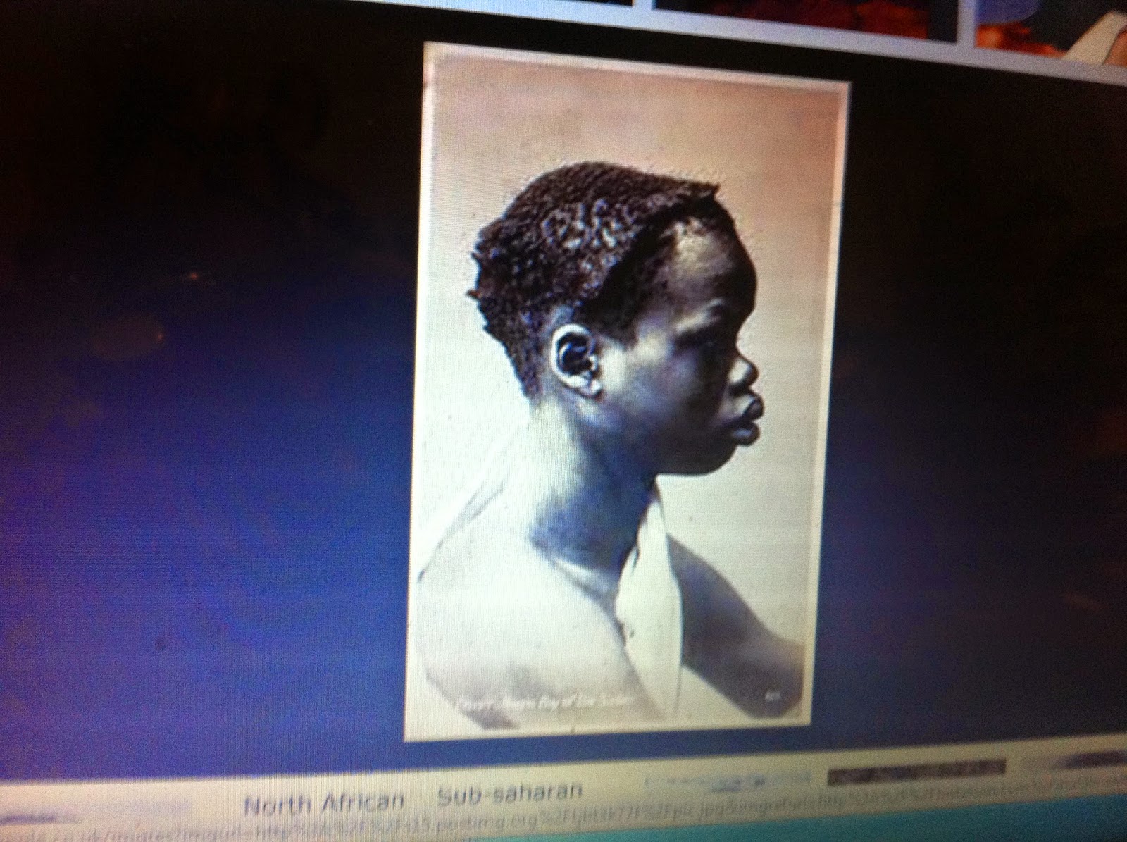 THE BLACK SOCIAL HISTORY:: BLACK SOCIAL HISTORY : NEGROID - IS THE TERM ...