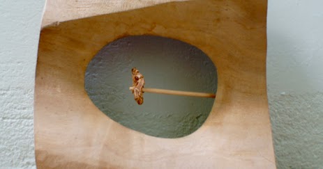 The Shop Gallery Glebe: Hilik Mirankar