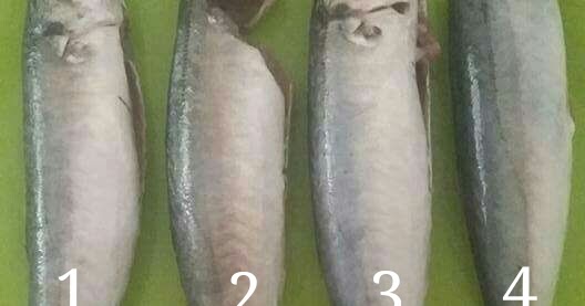 Cara Cuci.ikan.selayang - MylaecDunn