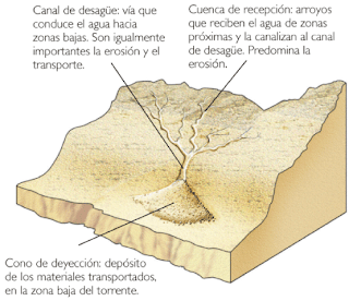 Geomorfología 4º ESO: SISTEMA MORFOCLIMÁTICO EN ZONAS HÚMEDAS: EL ...
