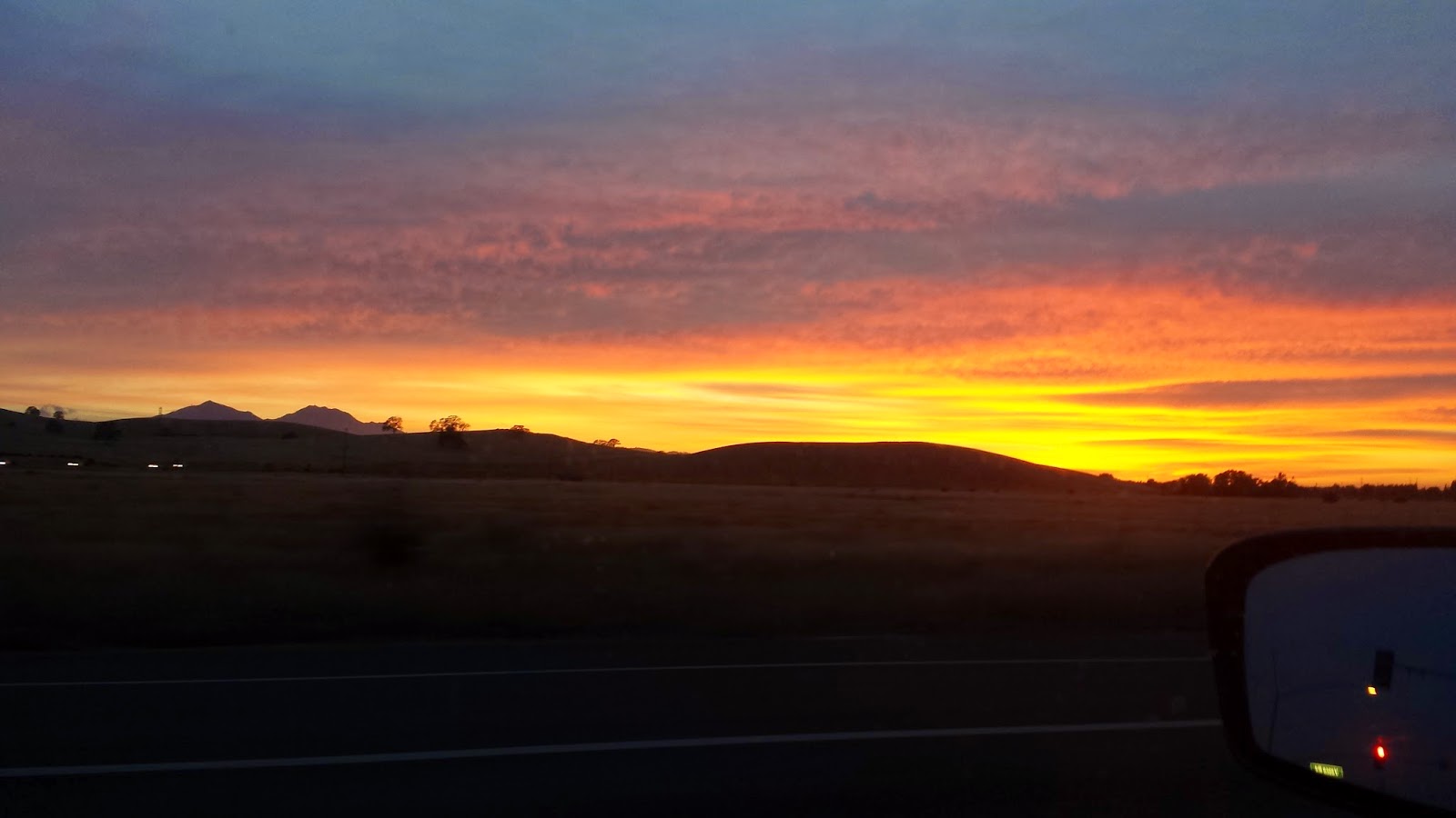 Road Runner Girl: Scenes in California!