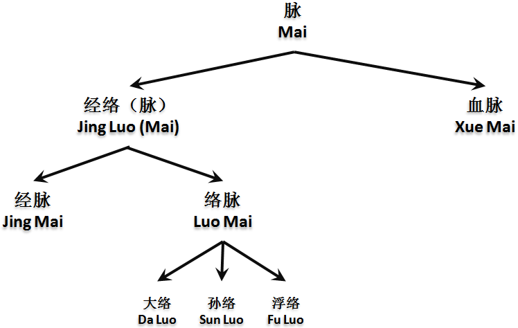 דרך המחט - רפואה סינית 针之道: תיאוריות סותרות בבסיס הדיקור הסיני - חלק ו ...