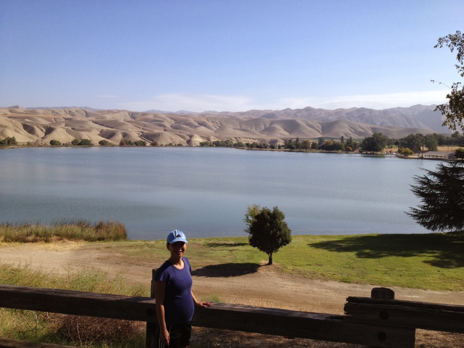 1981 VW Camper: Lake Ming