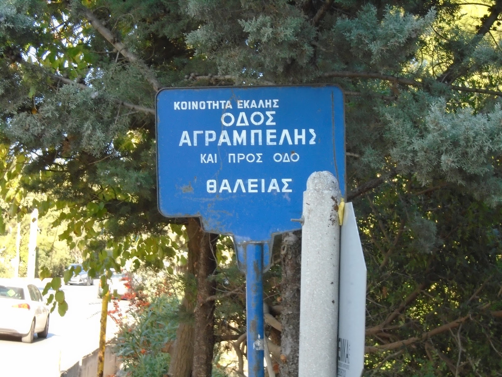 THE YELLOW JOURNAL BERLIN EKALI FOTOREPORT & AGRAMBELIS STREET MIMI ...