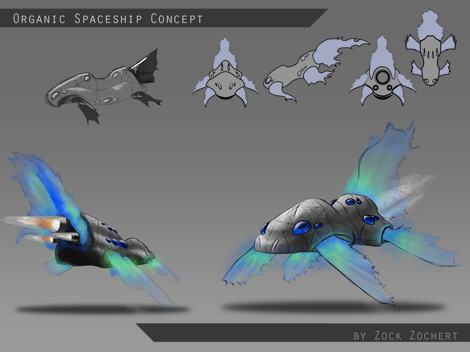 Zock Zochert's Art: Organic spaceship Concept