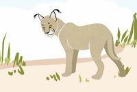 .: Review: Amazing Animals by Design