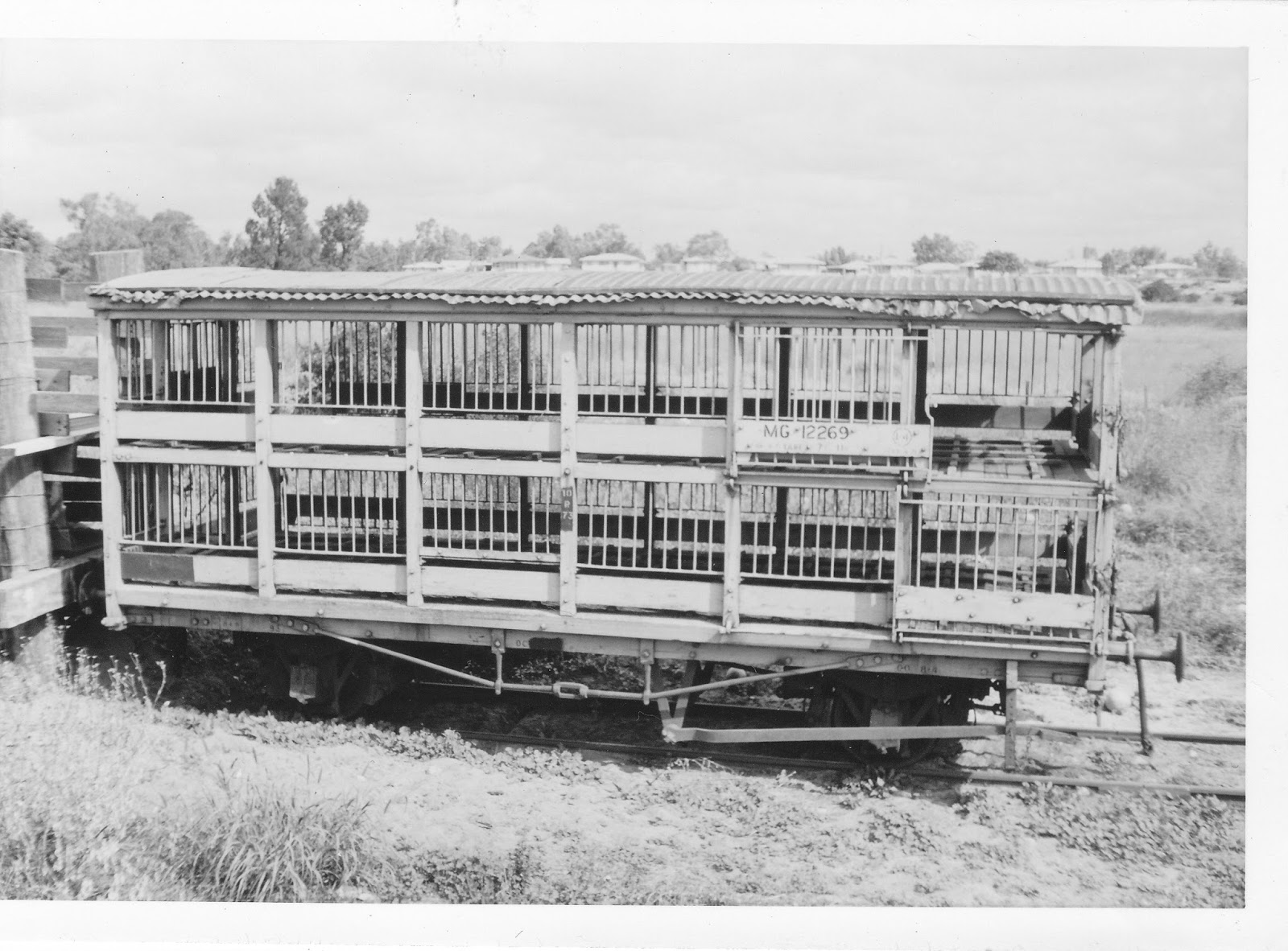 Westgate - South Western Rail: MG Sheep Van.