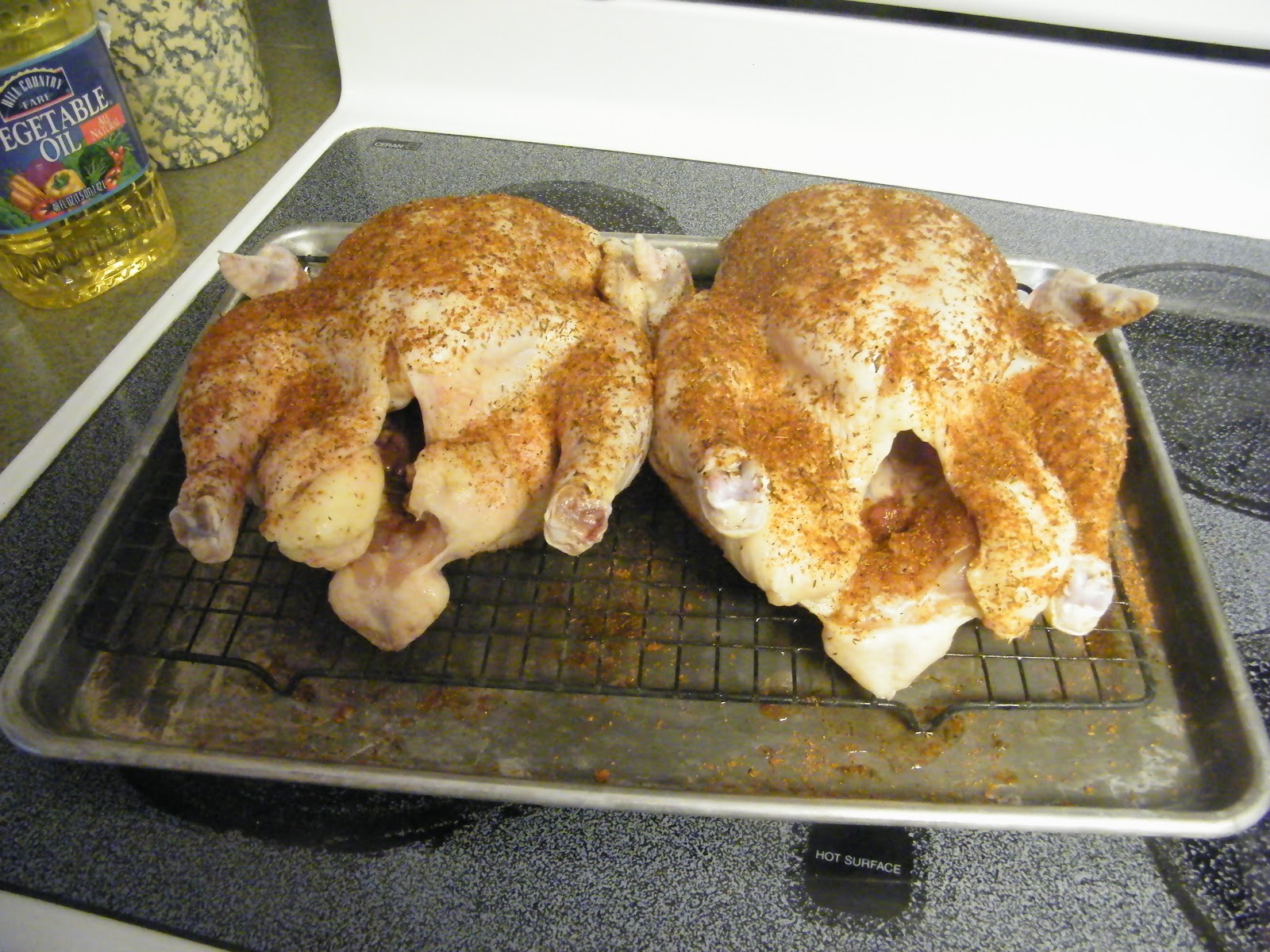 Home of a Feral Biologist: Brick Barbecue Pit Ready for Summer