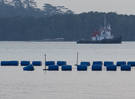 wild shores of singapore: Pasir Ris floating security barrier: some ...