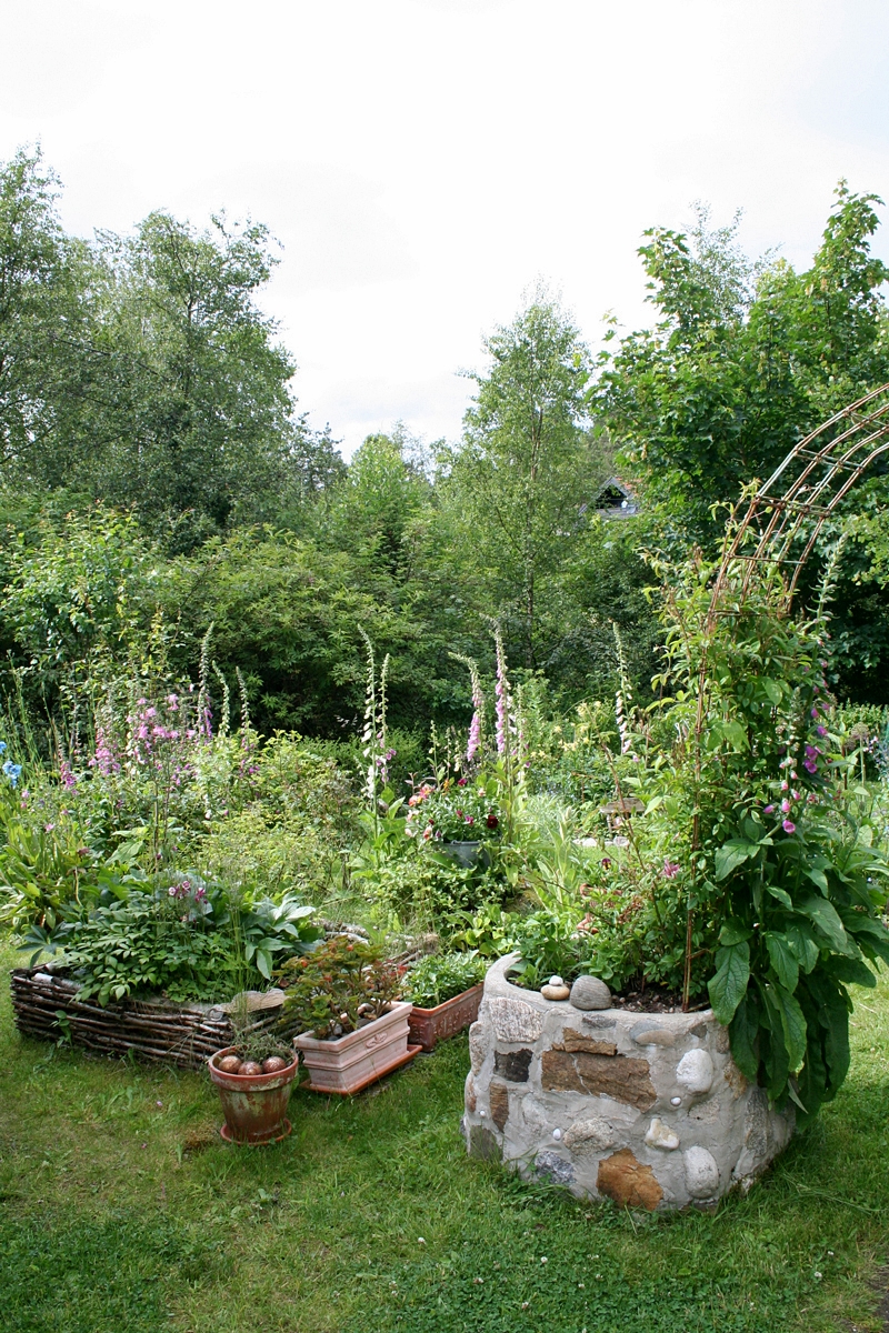 Roser og Patina: Revebjeller har fest i hagen!