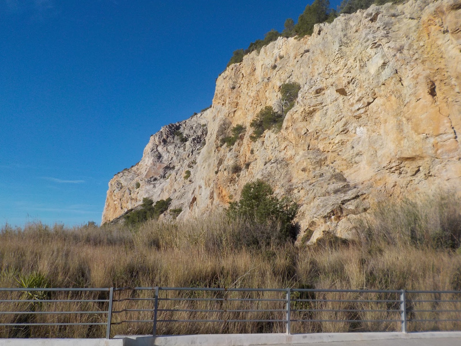 Els Cinc Peus al Gat.: Escalada Esportiva Penya-segat La Falconera ...