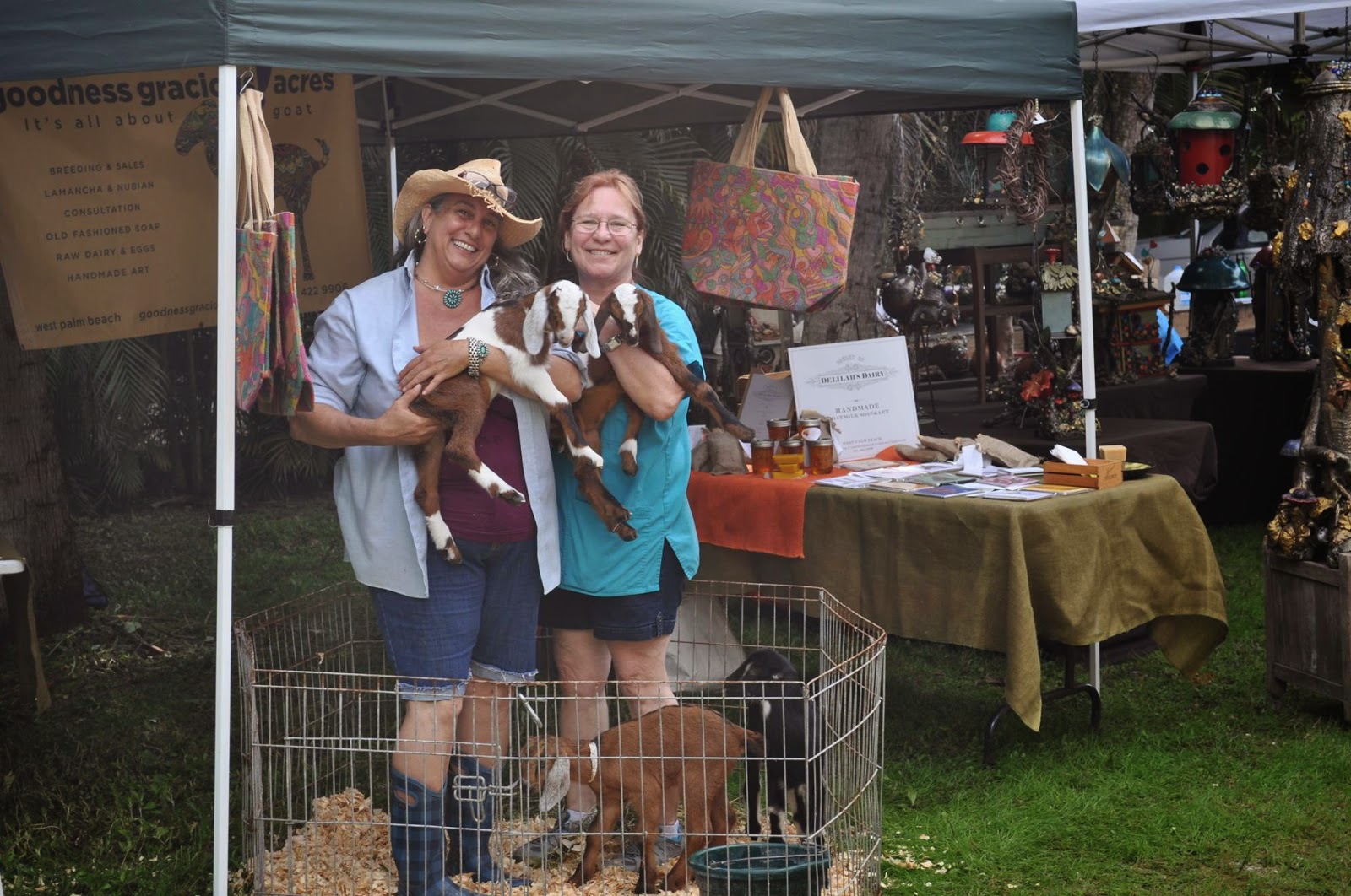 GOODNESS!GRACIOUS ACRES: evolution of a farm booth