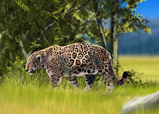 Zoo Park: Run Your Own Animal Sanctuary: The Jaguar