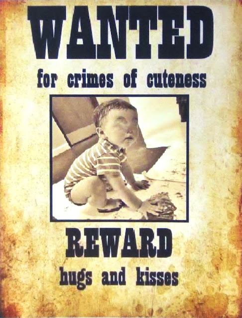 Princesses, Pies, & Preschool Pizzazz: Western Roundup for Toddlers