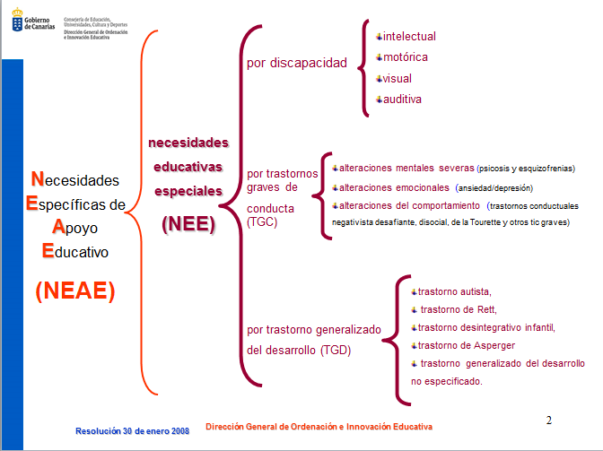 Dislexia, ¿eso qué es?: Clasificación de las NEAE
