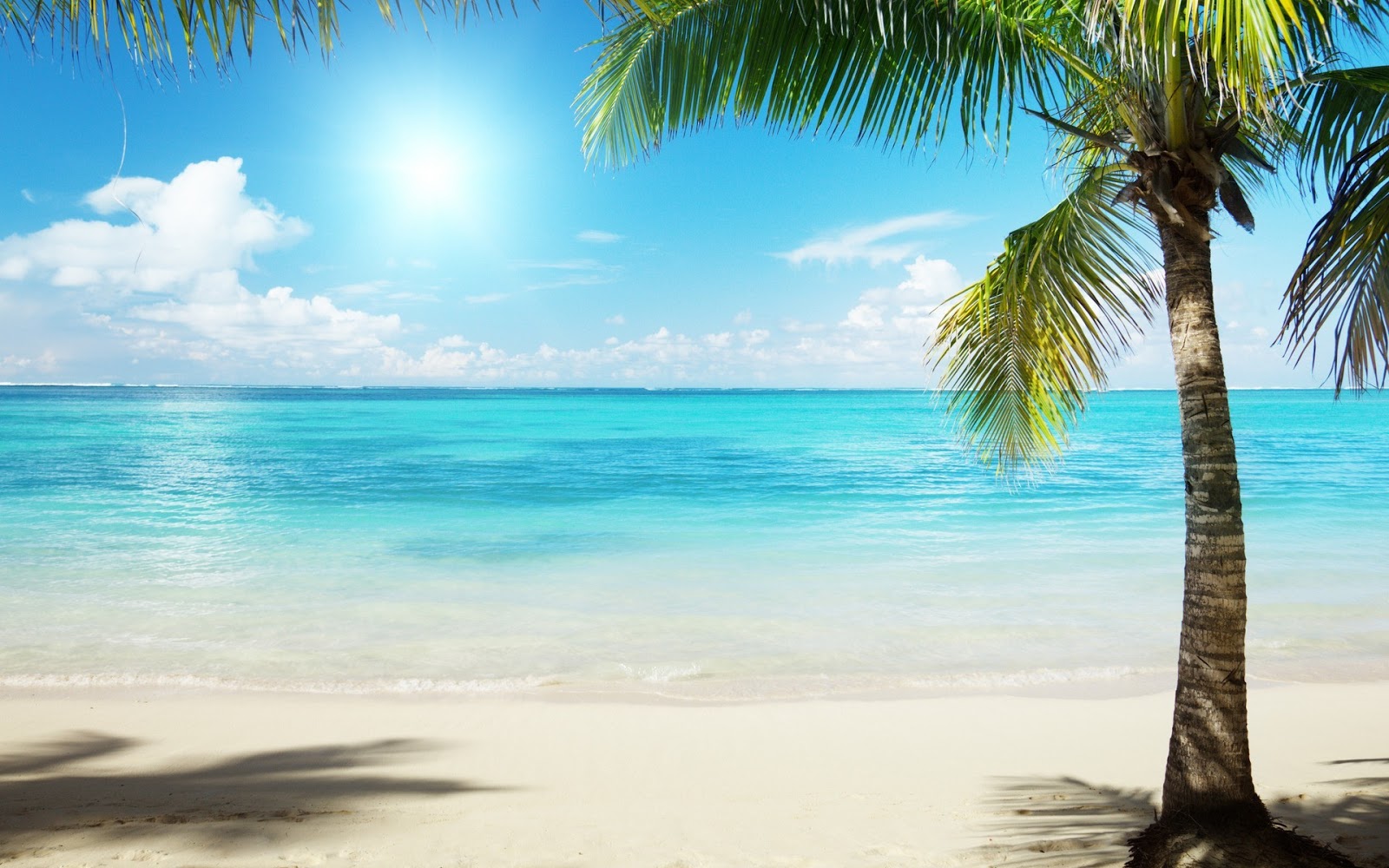 53 Sunny Beach Wallpapers | MagOne 2016