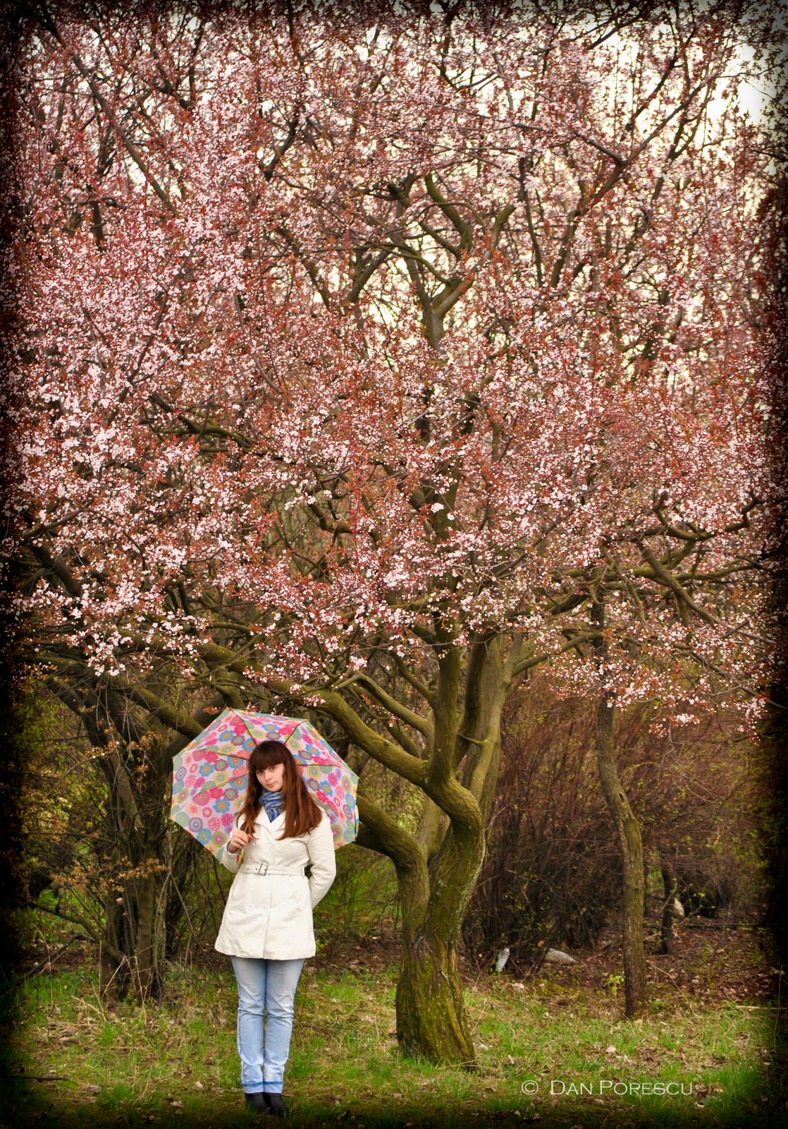 DanPopescu Photography: Portret de primavara...