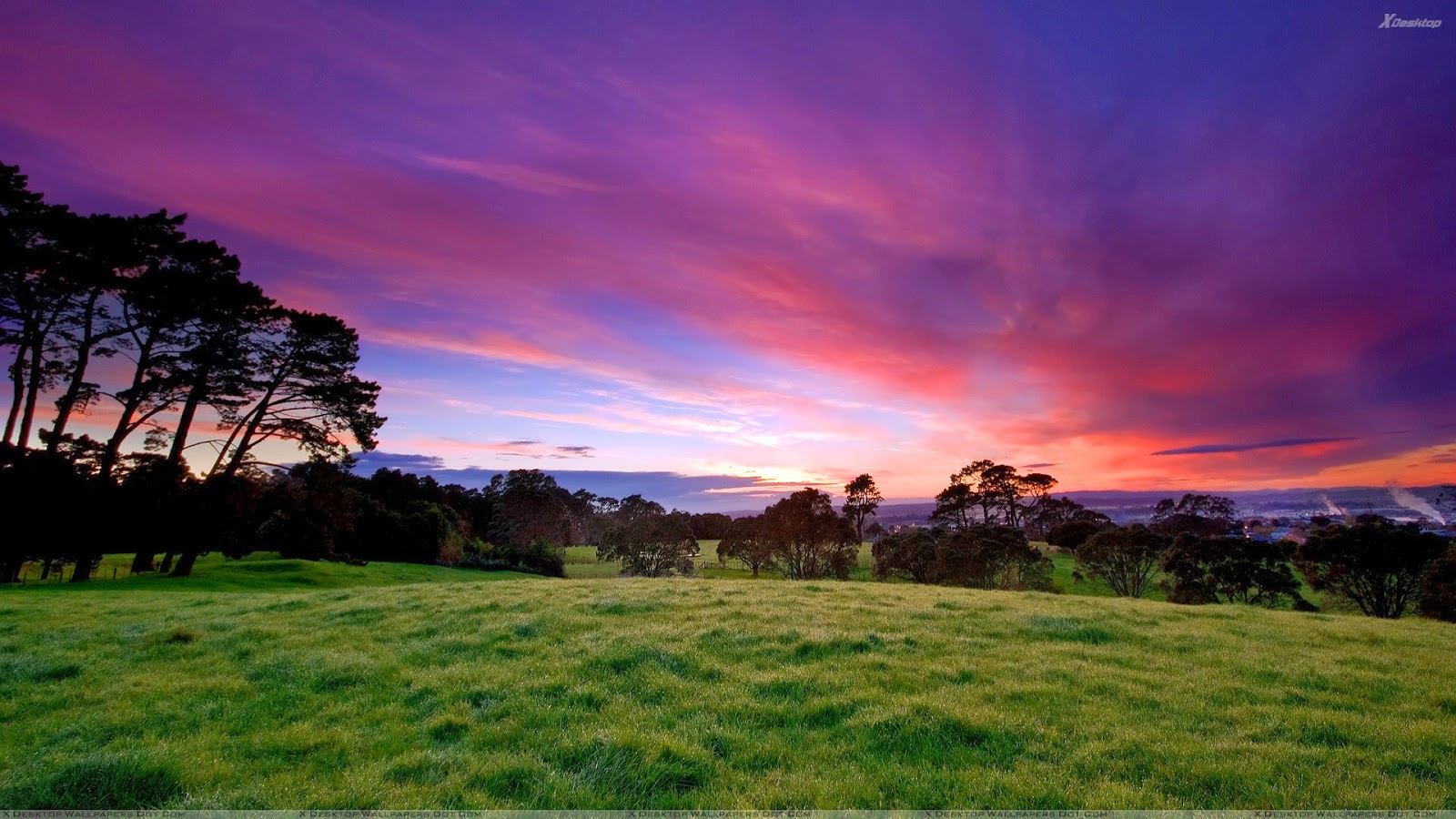 The Amazing Scene Of Nature | Mannar Photos