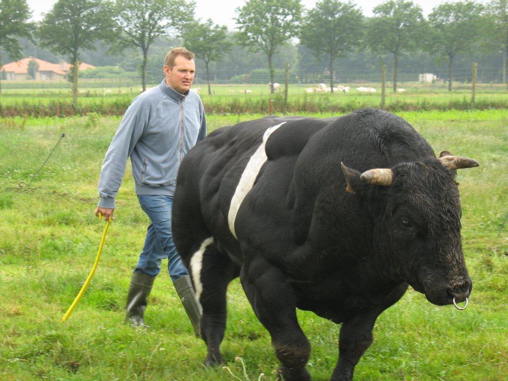 Illinois Farm Bureau Members Tour EU Farms ~ Across the Pond