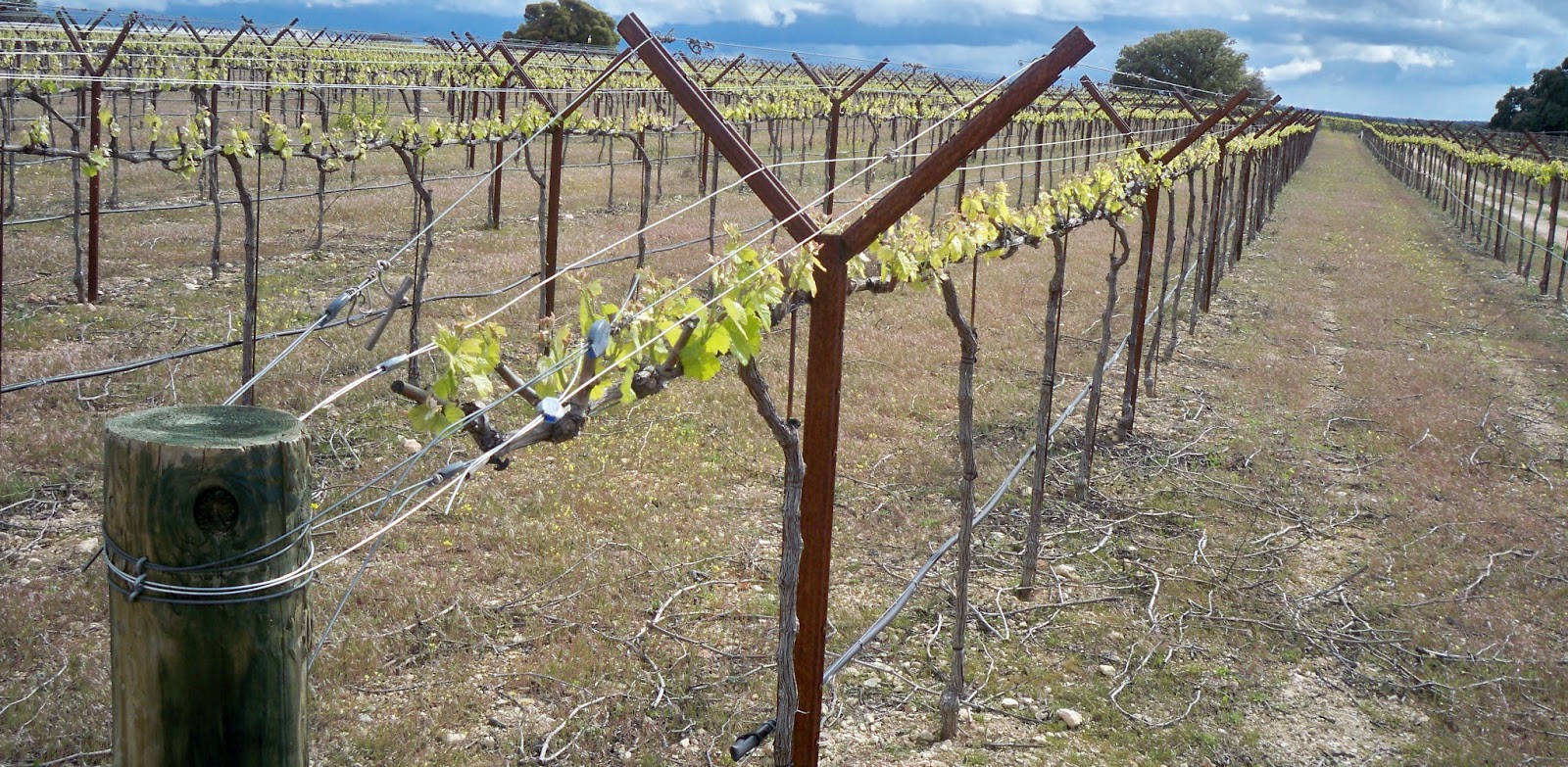Dehesa de Luna y su gran parcela "La Cañada del Navajo" - CATACALDOS DE ...