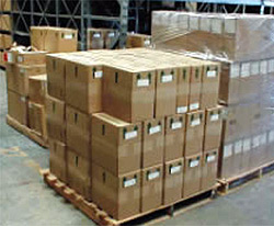 LoneStar Delivery & Process - Dallas: LoneStar Delivery & Process - Dallas