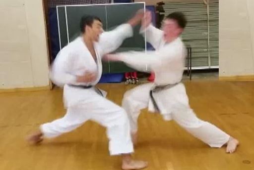 Defending the Hikite