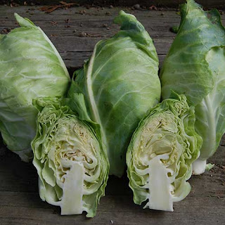 From Seed To Table: The Grow List For 2018 - What's New