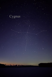 To the Land of Dreams: Cygnus