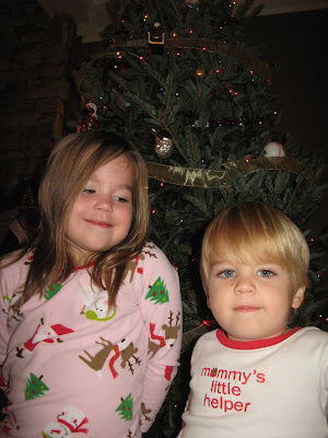 The Atkinson Family: Tree Trimming