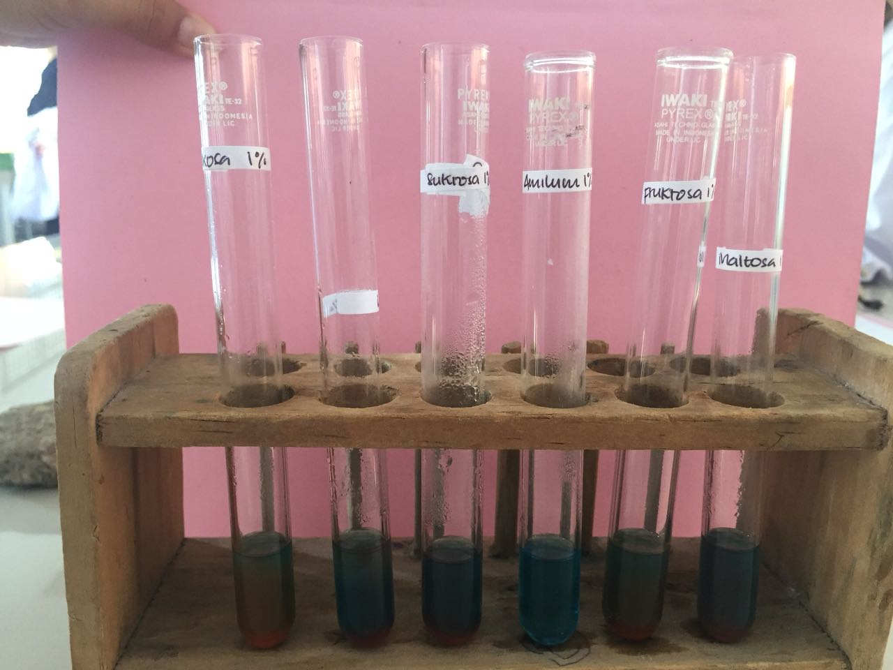 Pendidikan/ Kesehatan: LAPORAN PRAKTIKUM UJI BENEDICT BIOKIMIA