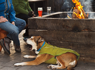 Winter Dog Coats : Fido Fleece, Ruff Wear and 1Z Dog Coats: Our pets ...