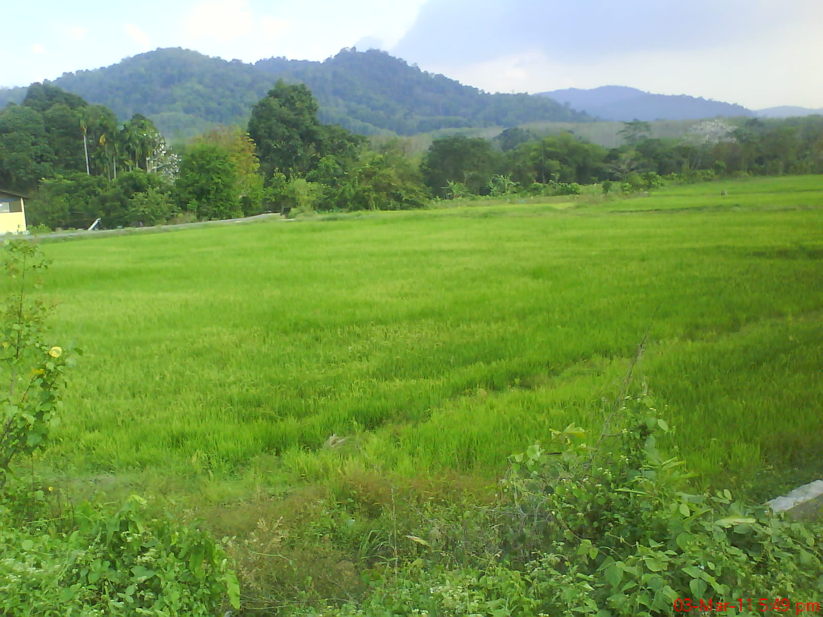 HOMESTAY AN-NAIM (Homestay Di Sik, Kedah): AN-NAIM HOMESTAY, KG. NAMEK ...