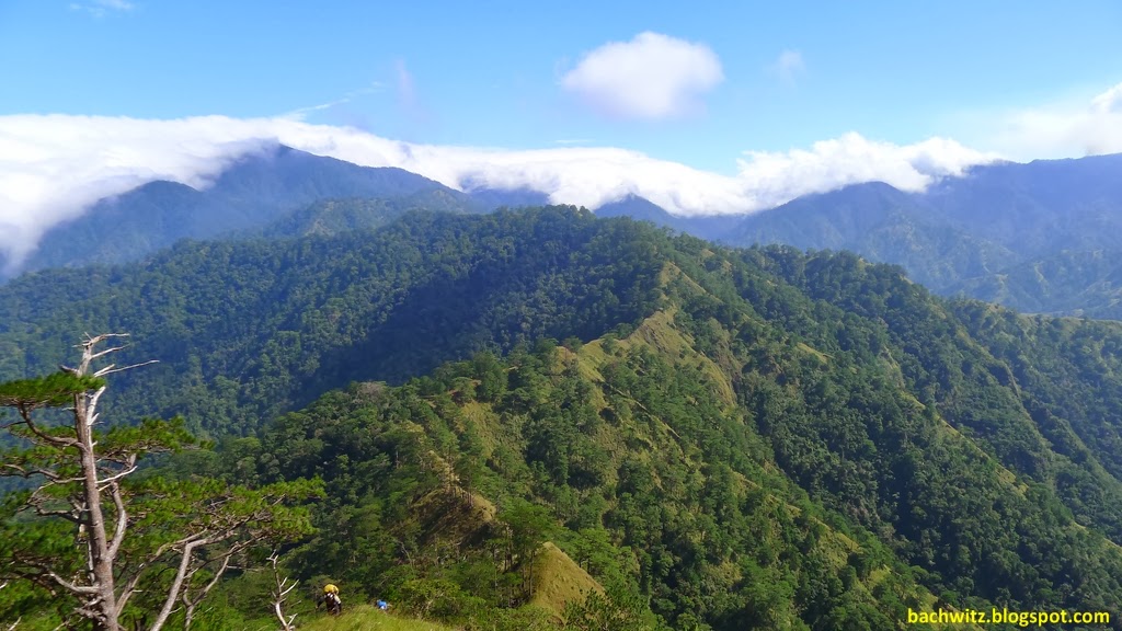 Nature-ral High: Mt. Sicapoo Climbing Updates