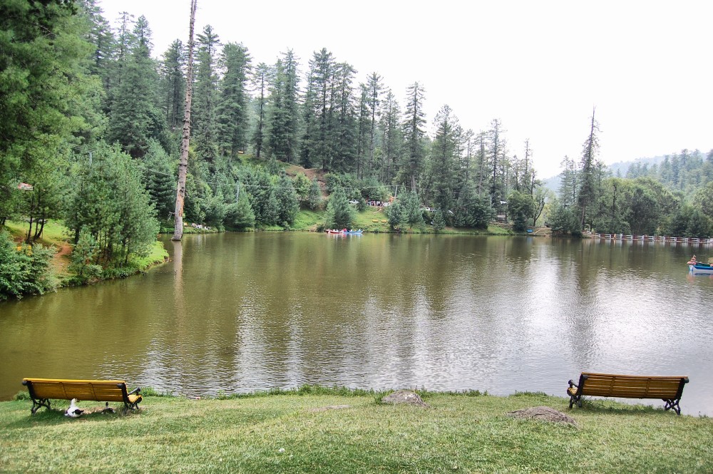 beauty of kashmir: ABOUT TOli peer and BANJOSA