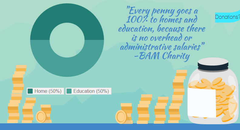 mELTing Activities, Lessons and Ideas: Infographic Project - Charity ...