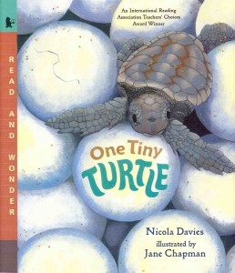 Teach, Play, and Learn with Children's Books: One Tiny Turtle by Nicola ...