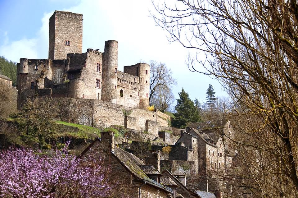 Anima Medievale: La vita al castello di un Signorotto locale nell'Alto ...