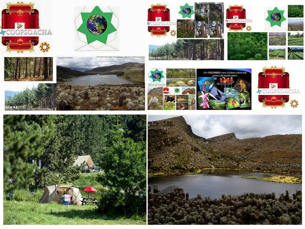 REVIVIR VERDE TURISMO ECOLOGICO: REVIVIR VERDE TURISMO ECOLÓGICO ...