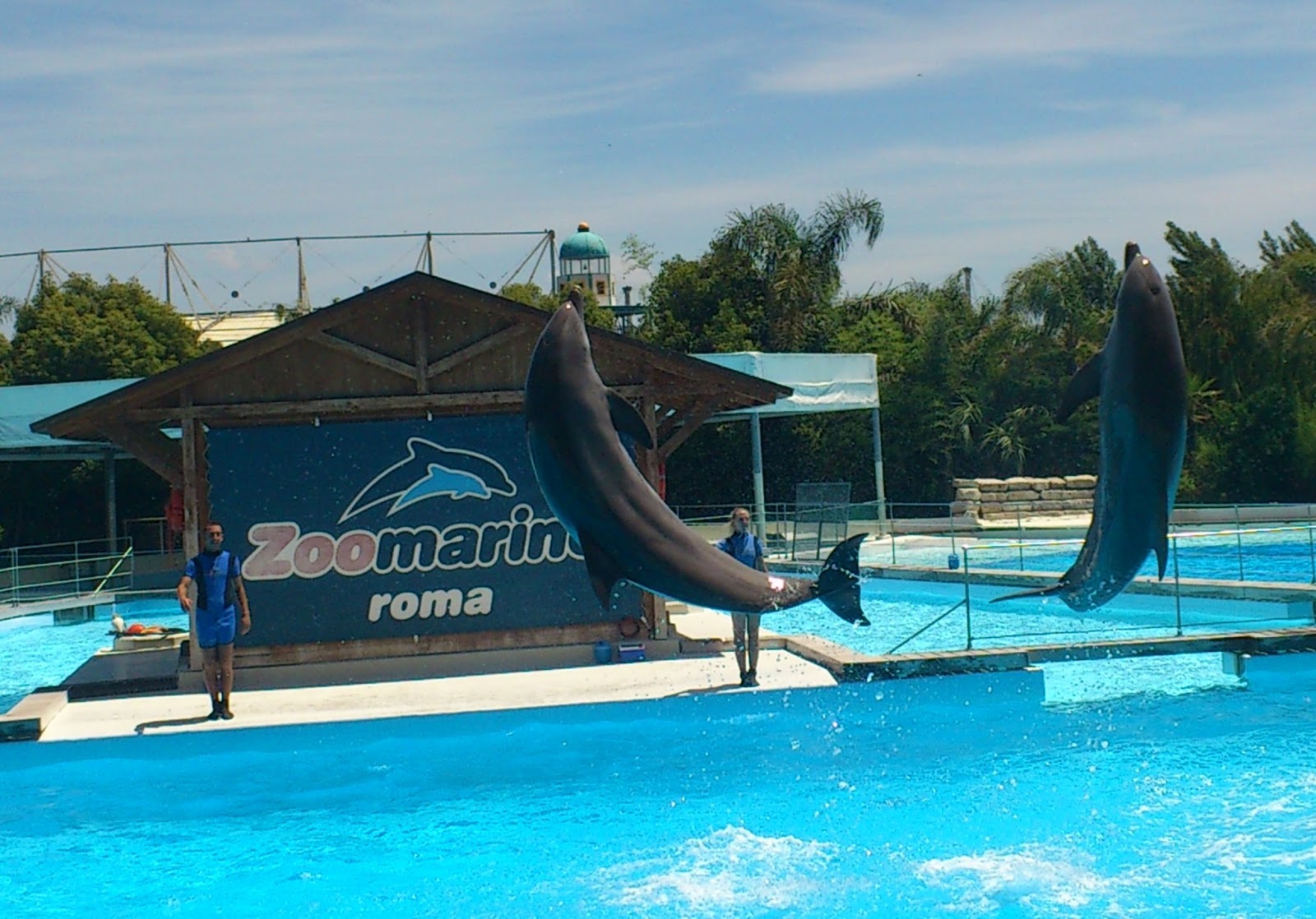 BAMBINI di ROMA : ZOOMARINE