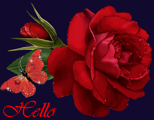 Red Rose Animated Wallpapers - flowershdwallpapers