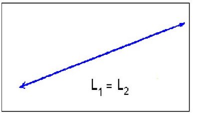 COMPROBANDO TUS CONOCIMIENTOS