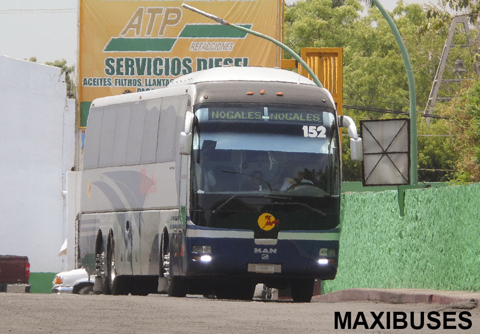 MAXIBUSES: AUTOBUSES LOS MAYITOS