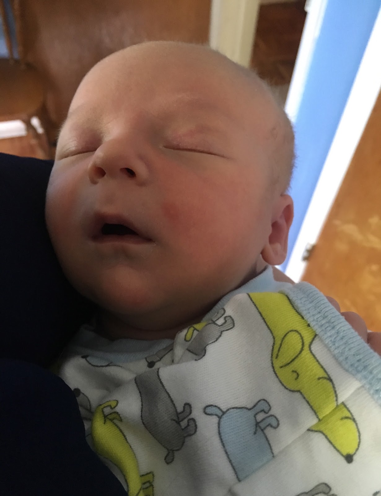 Scenes From a Southern Life: Aiden Daniel Inman