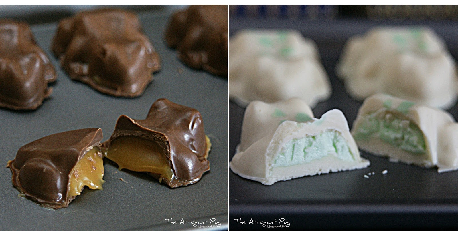 The Arrogant Pug: Chocolate Frog & Peppermint Toad [Wizarding December]