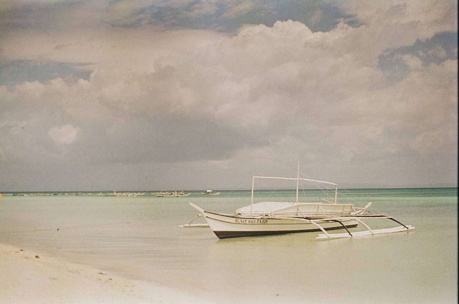 the wandering little girl