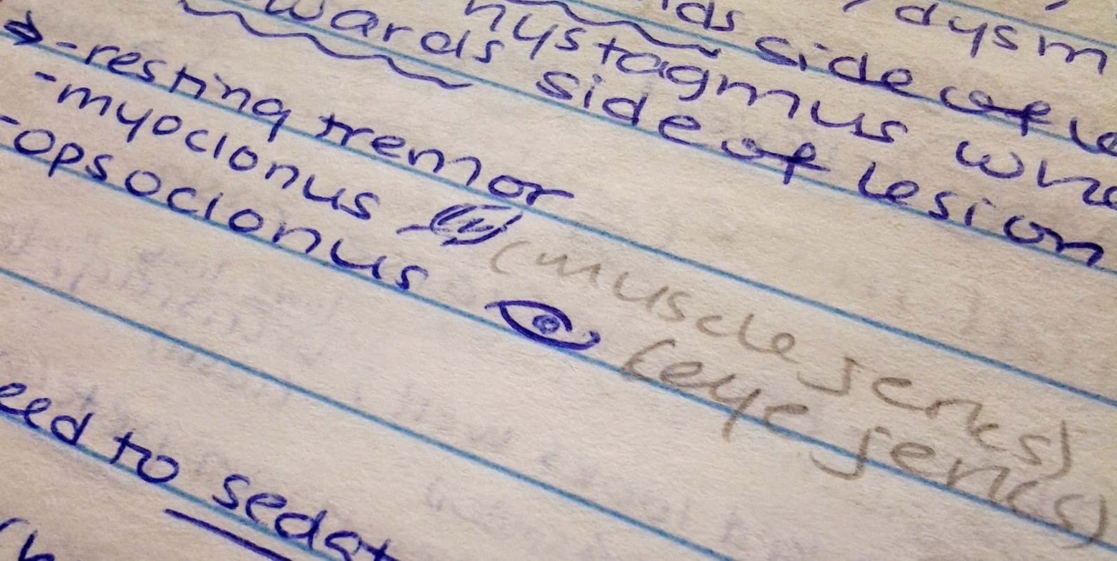 Winding Spiral Case: How To Study: Making Notes