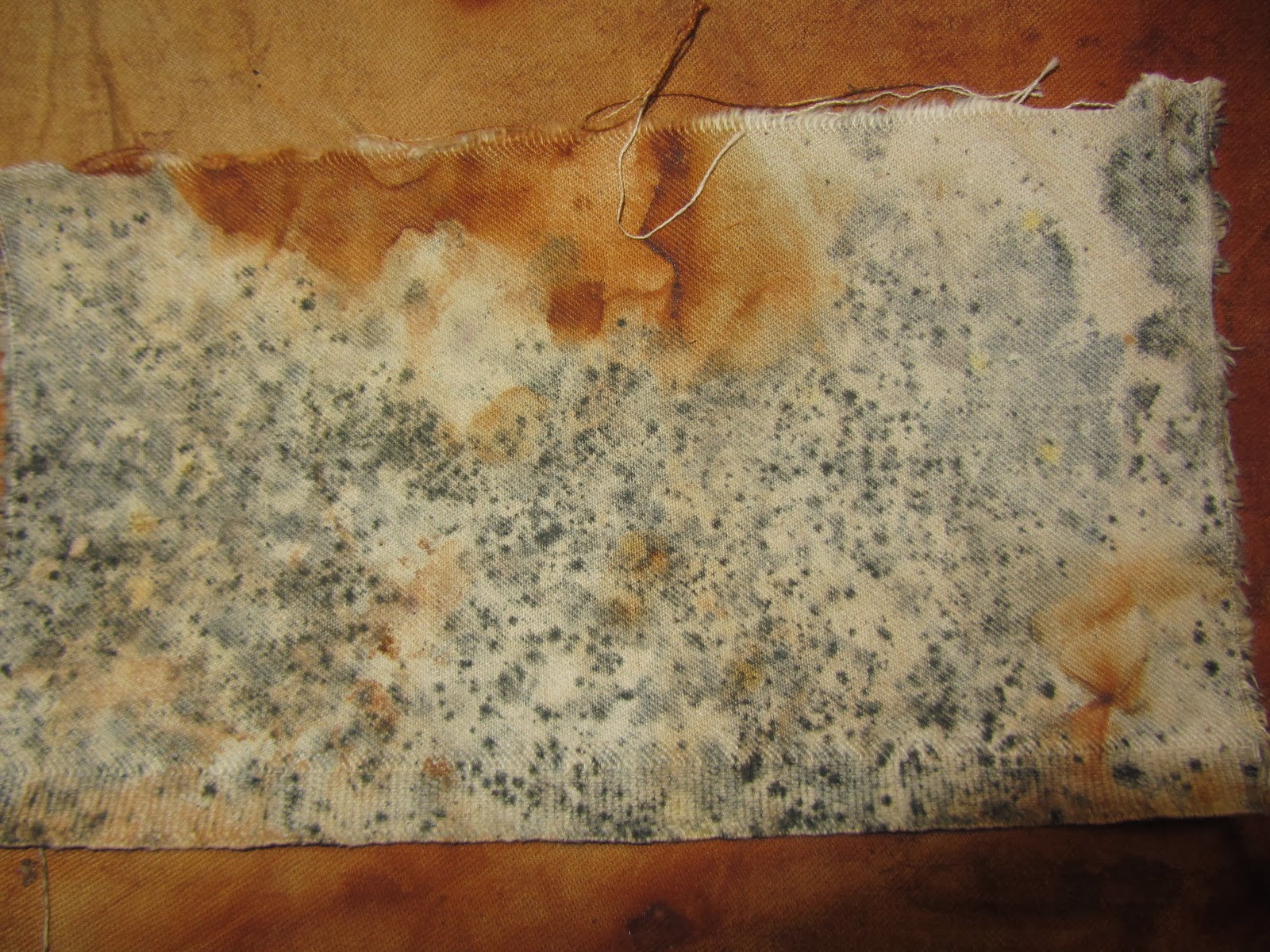 gypsy czech: Rusting Fabric/Collage - WOYWW #231