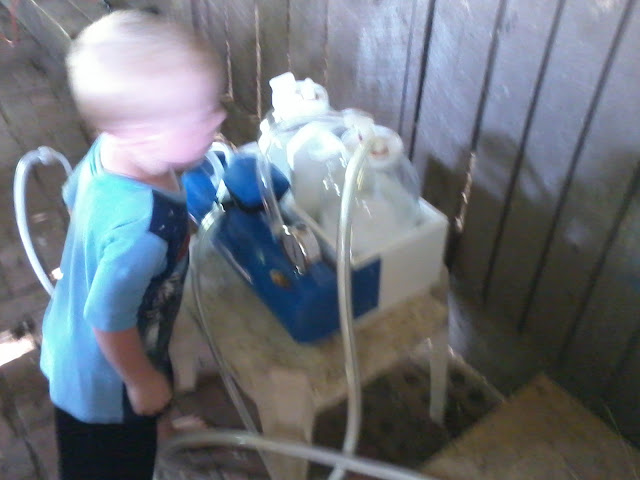 Kleinshire: First Thoughts on our new "Simple Pulse" milker